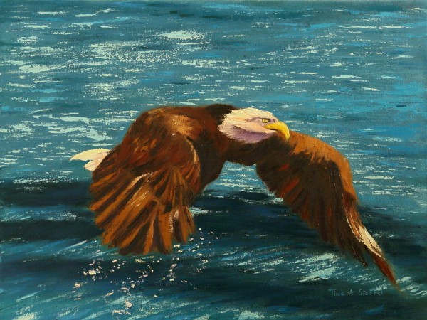 Soaring Water Eagle - Tinas Fine Arts